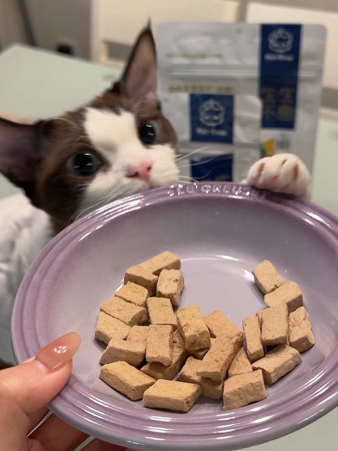 Pet-Ever Freeze-dried pet food
