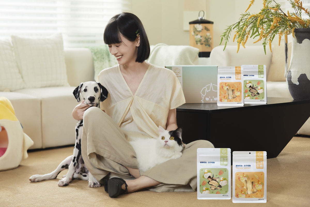 Pet-Ever Freeze-dried pet food